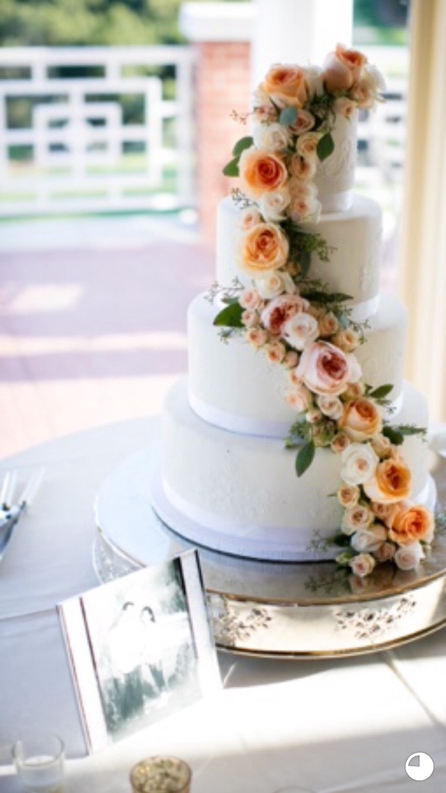 Wedding Gallery — Sugar Lab Bake Shop