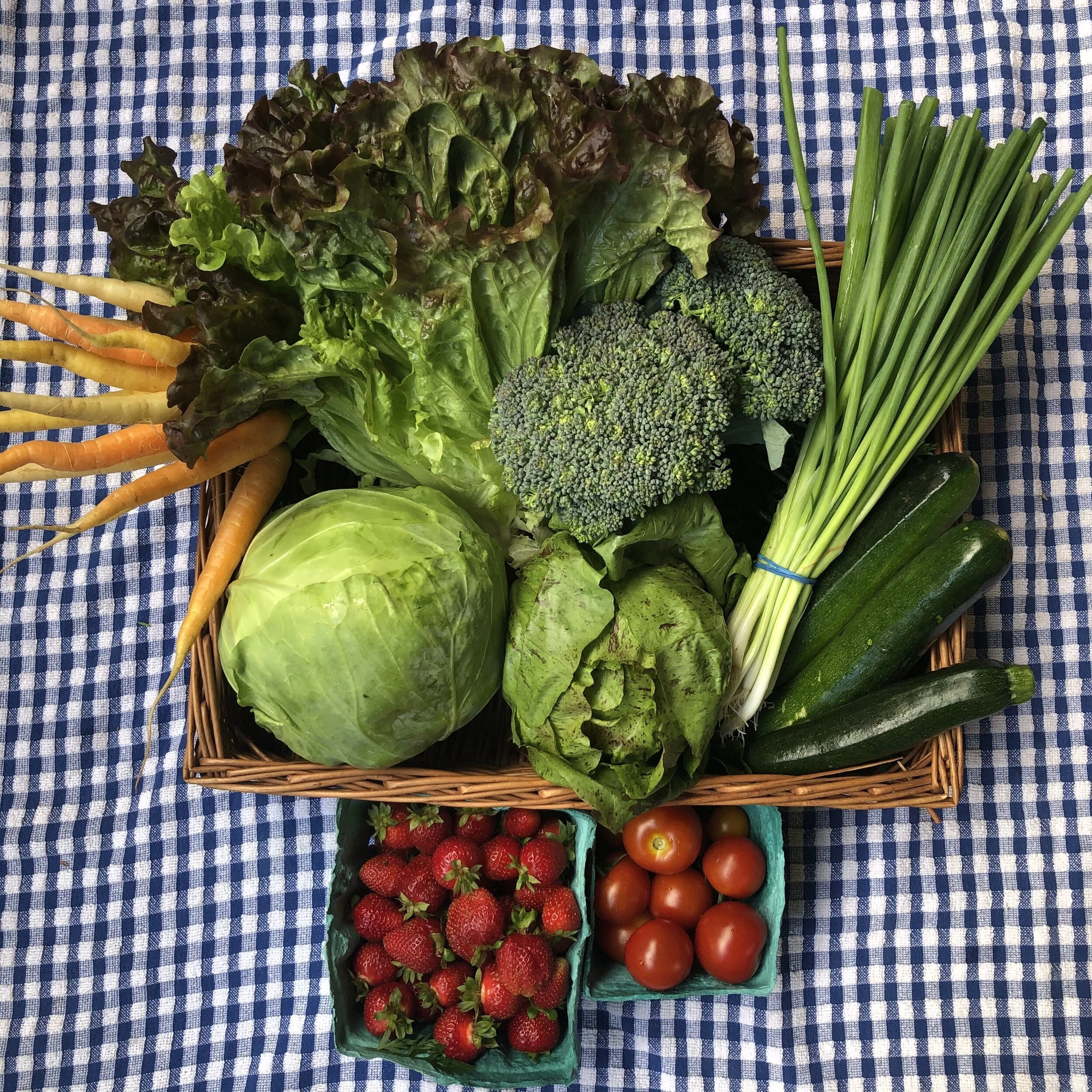 Athens CSA — woodland gardens organics