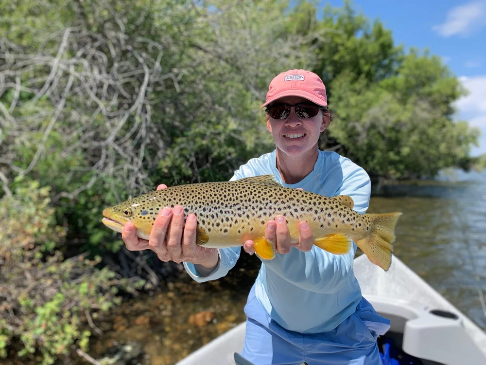 Madison River Fly Fishing