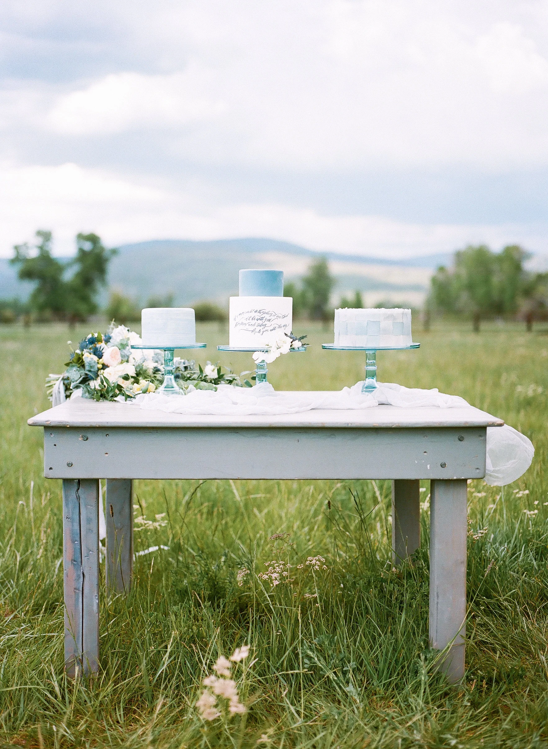 Twilight Ranch Wedding — Michelle Leo Events