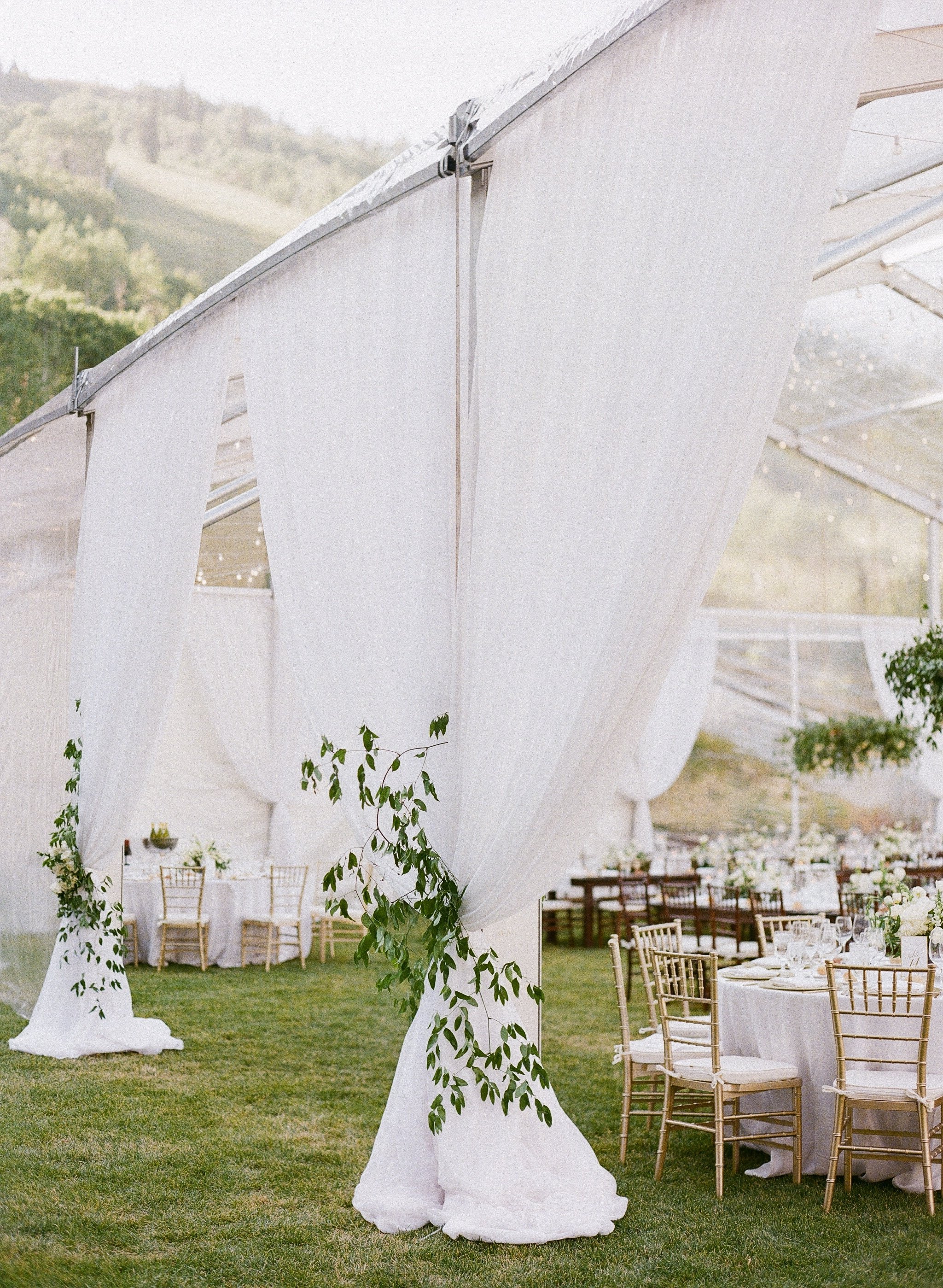 Wedding Tent Rentals: Your Ultimate Guide to Planning an Outdoor Wedding