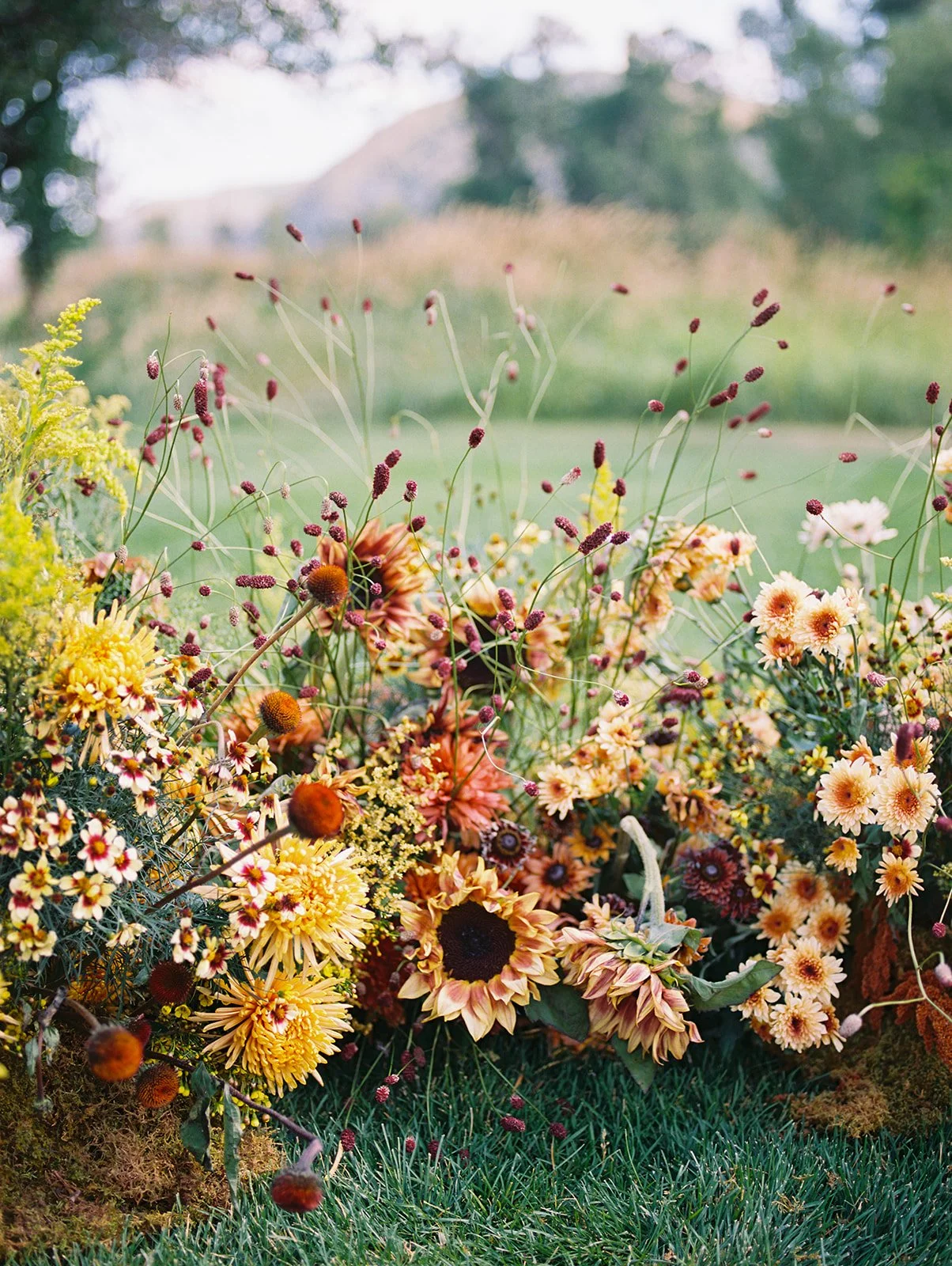 Outdoor Summer Wedding | Courtney & Brian’s Dream Celebration at 4U Ranch