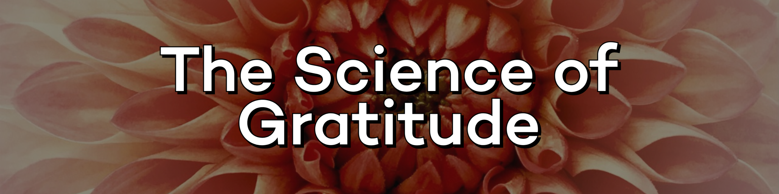 The Science of Gratitude