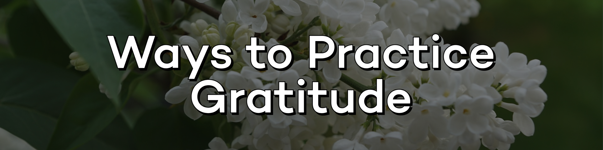 The Science of Gratitude