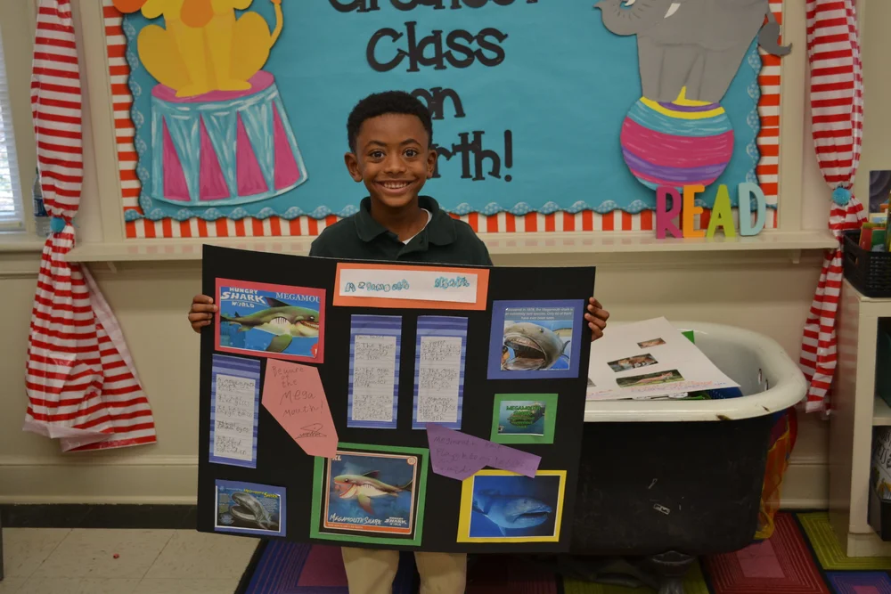 School Project Poster