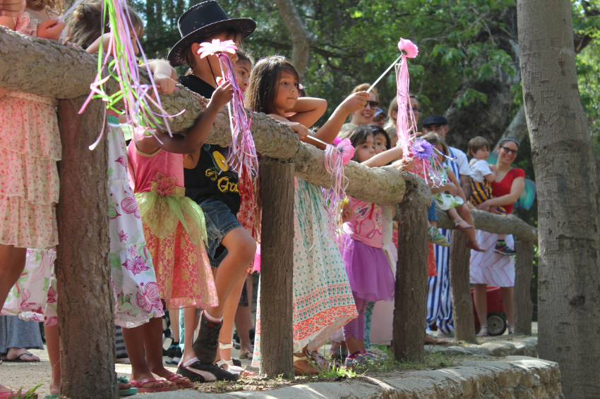 Adventures with A Faery Hunt — Cleverly Catheryn