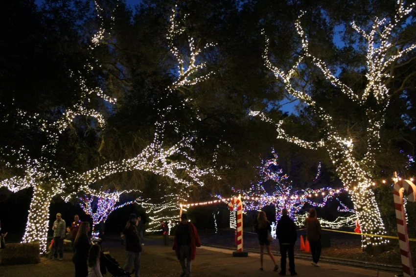 11 Best Places to See Christmas Lights This Season in Southern ...