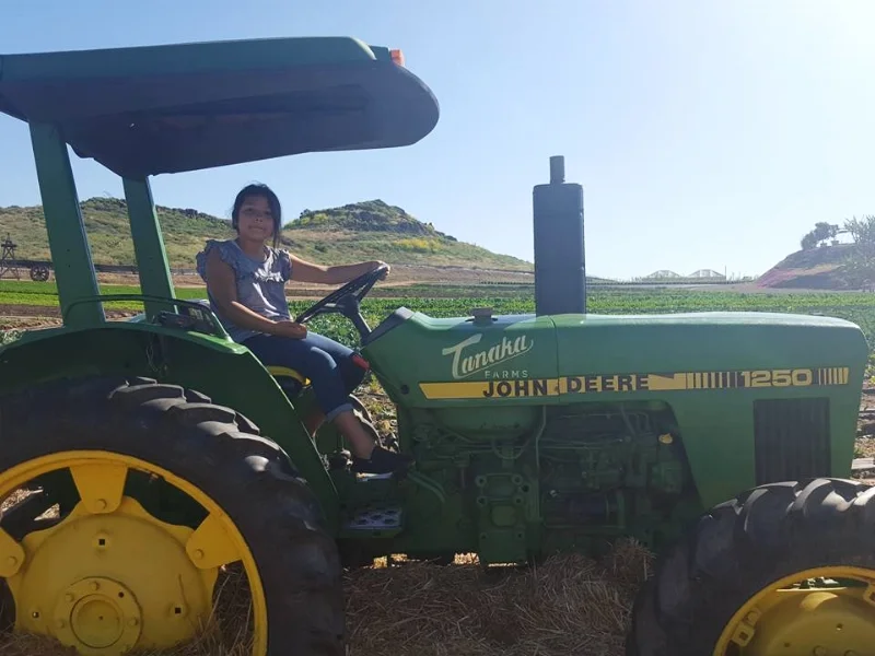 Farm to Table Cookout Tour at Tanaka Farms — Cleverly Catheryn