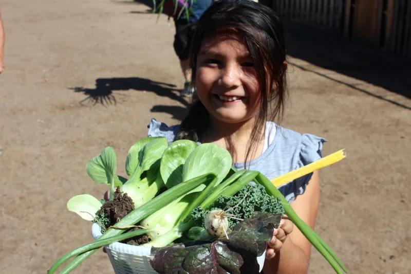 Farm to Table Cookout Tour at Tanaka Farms — Cleverly Catheryn
