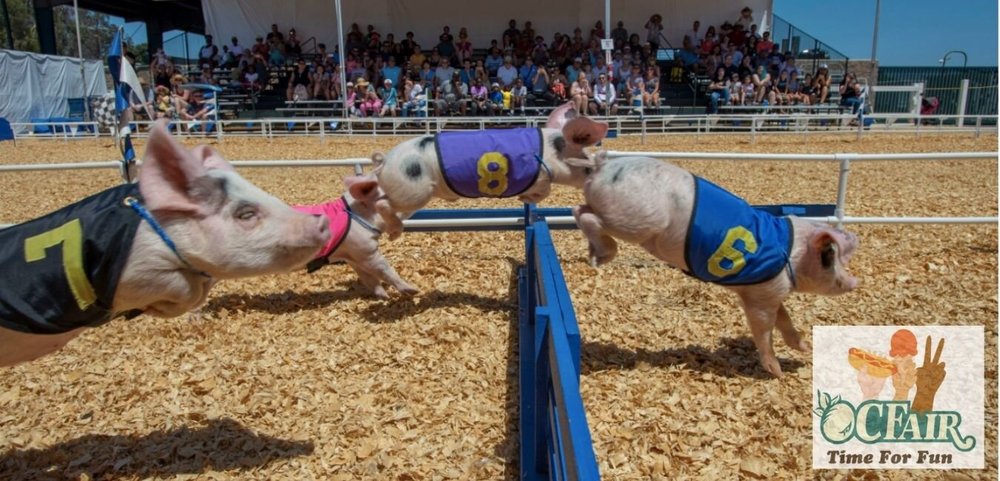 OC Fair is Returning This Summer — Cleverly Catheryn