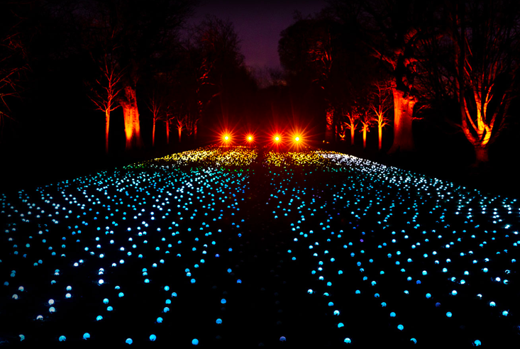 Lightscape Coming To The Los Angeles County Arboretum In Arcadia