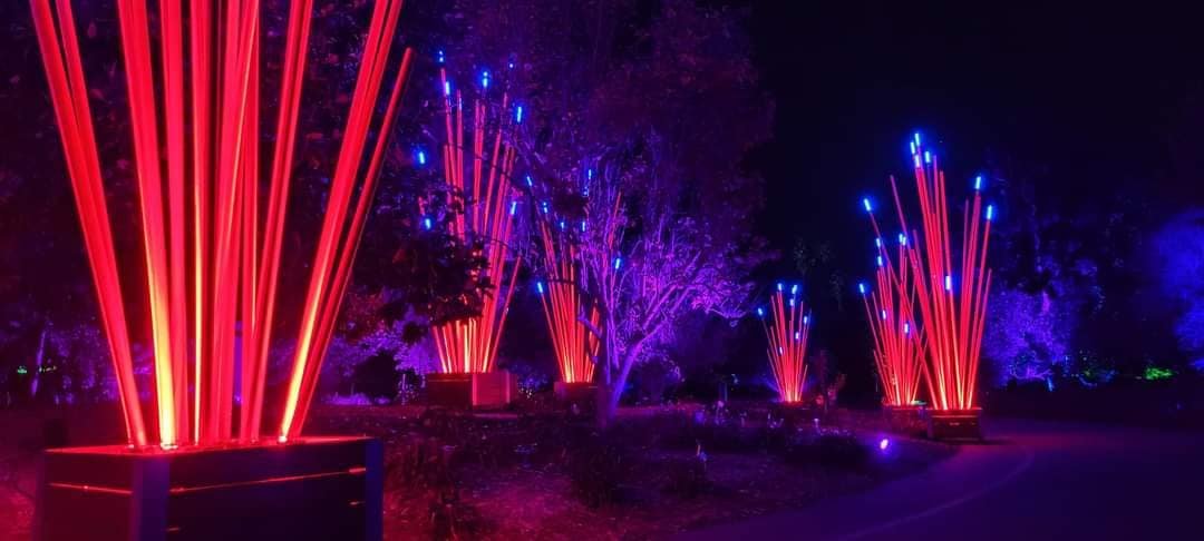 Lightscape Returns To The La Arboretum In Arcadia — Cleverly Catheryn