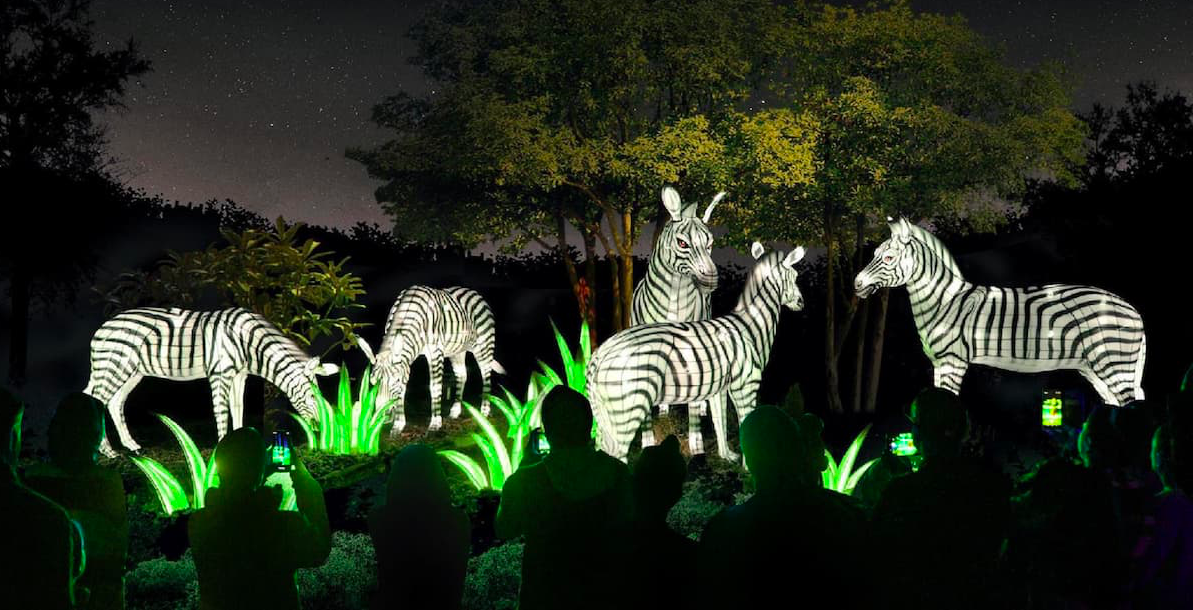 Sensory Friendly LA Zoo Lights Night — Cleverly Catheryn