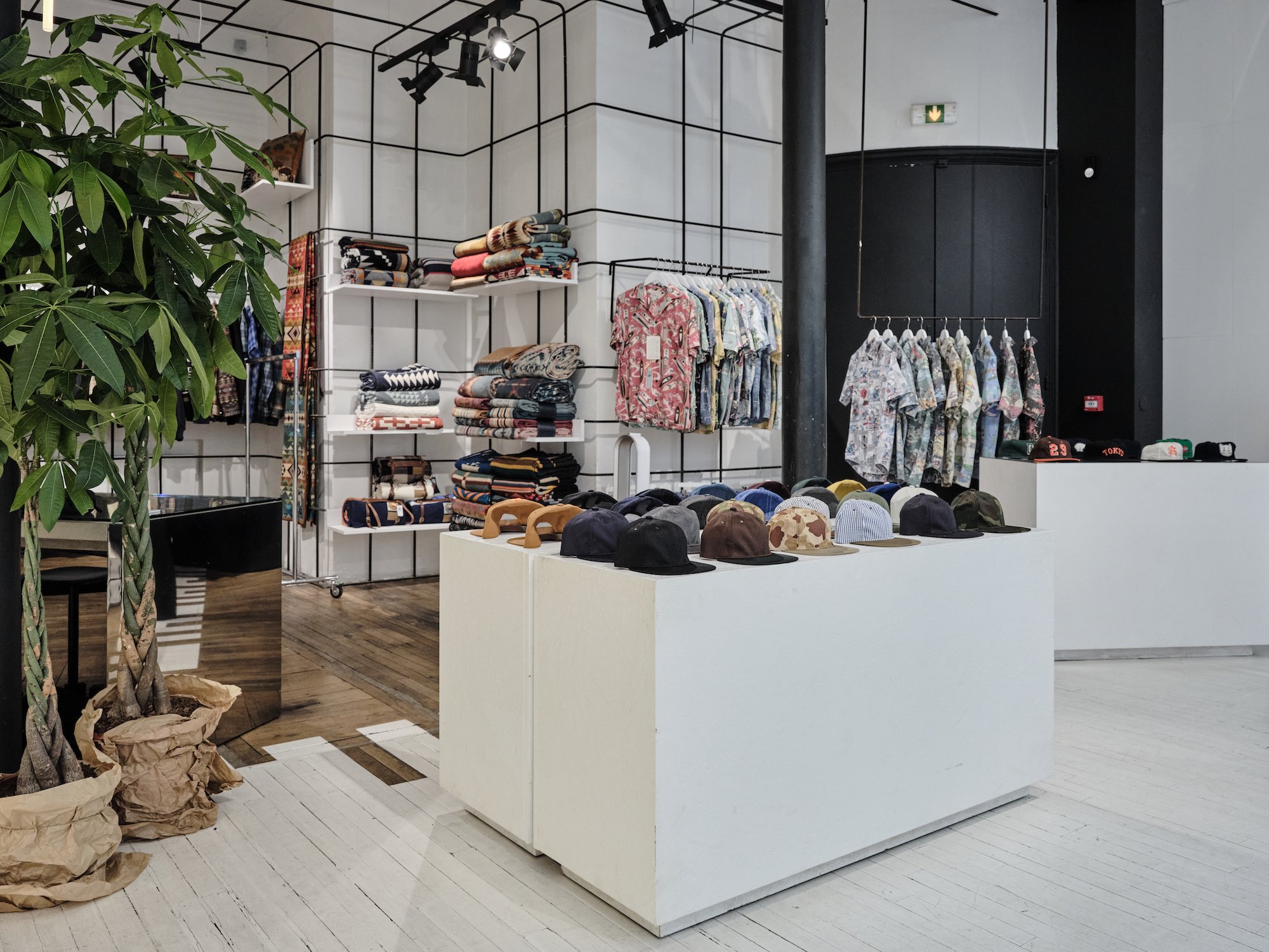 Options Distribution