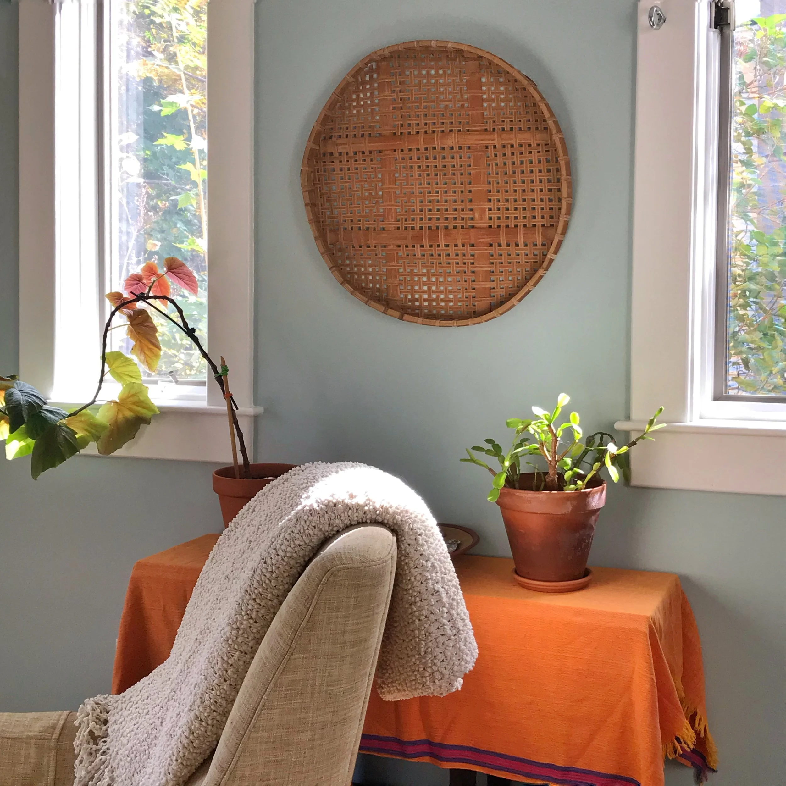 Residential -- Virtual and Onsite — Amy Woolf Color & DESIGN