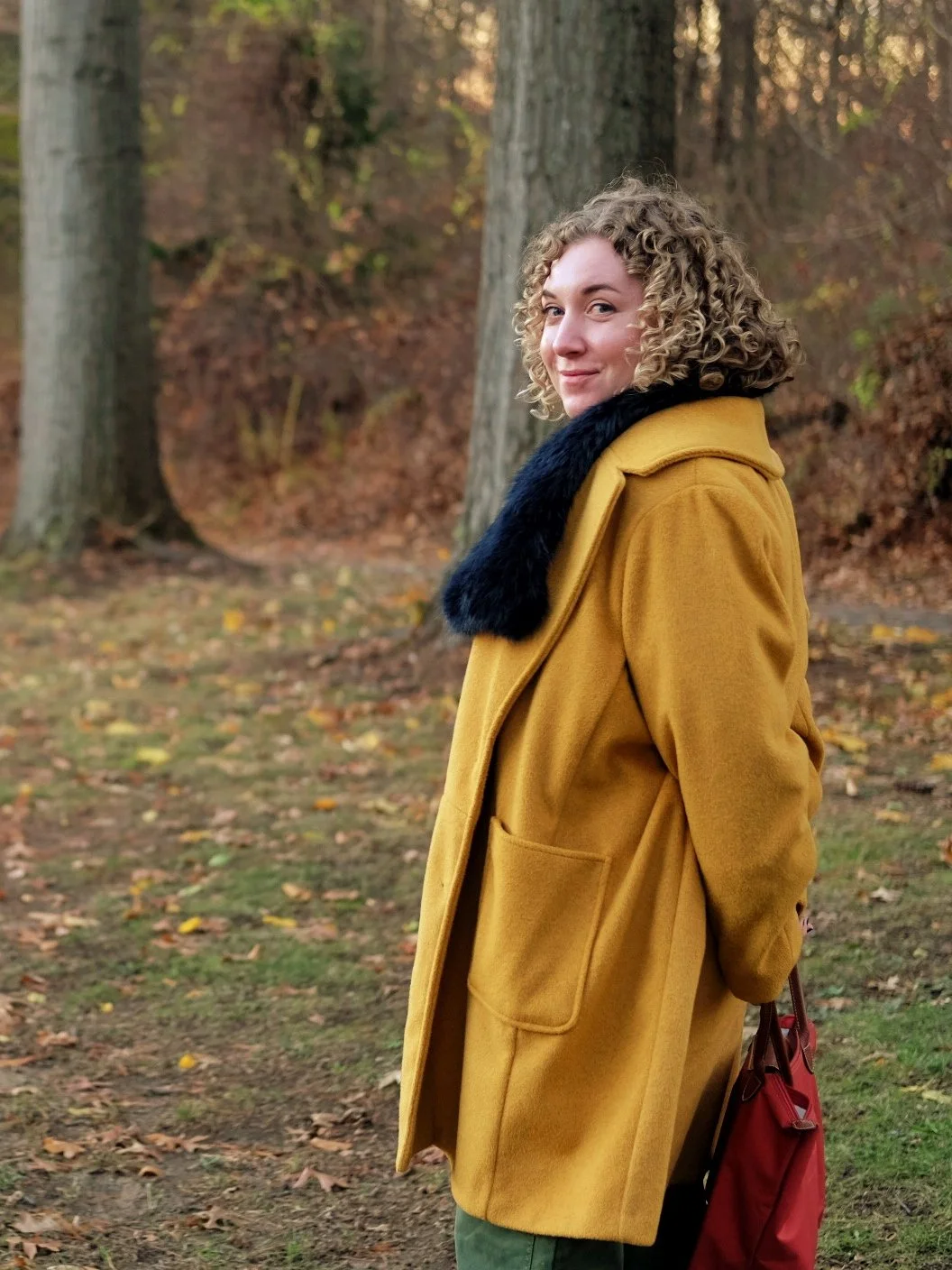 About -- Virtual and Onsite Color and Design — Amy Woolf Color & DESIGN