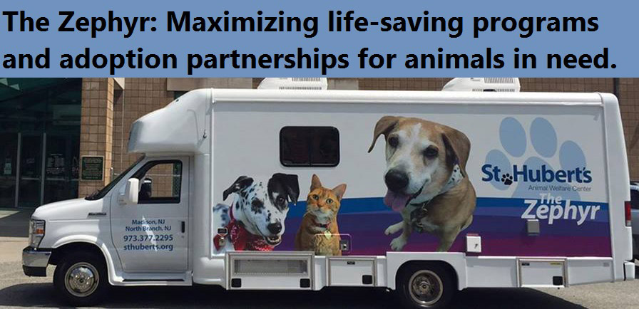 The Story Behind The Zephyr