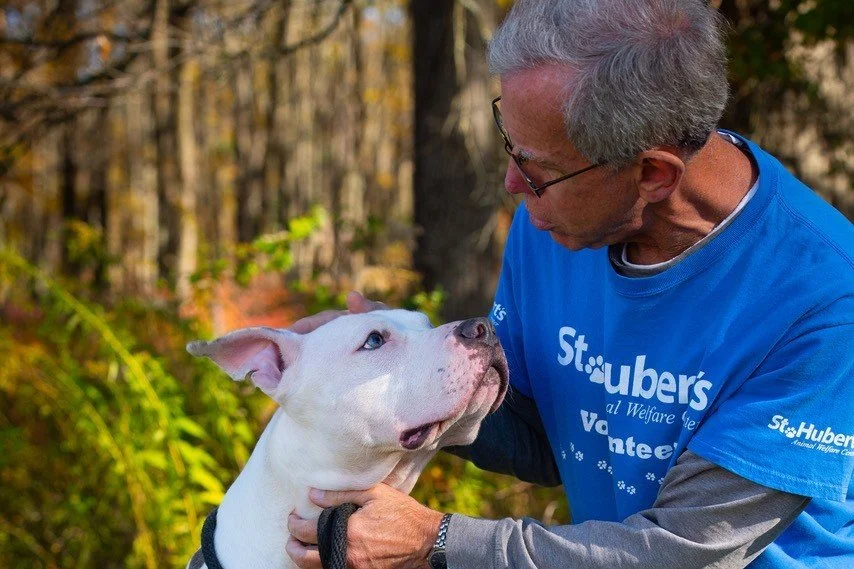 Ways You Can Help | St. Hubert's Animal Welfare Center