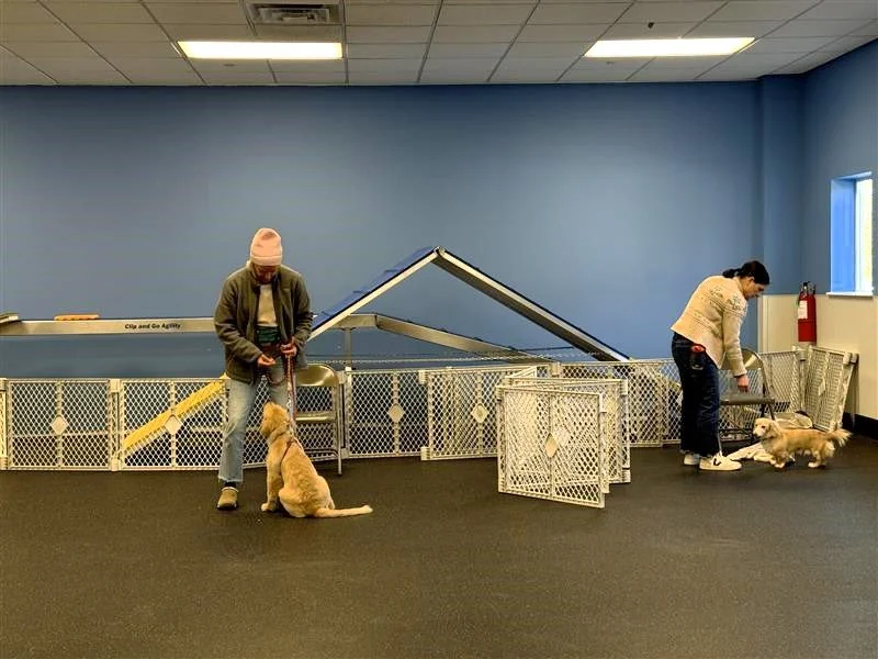 Virtual and Private Pet Training in NJ | St. Hubert's Animal Welfare Center