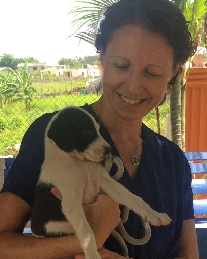 K-12 Outreach Education | St. Hubert's Animal Welfare Center