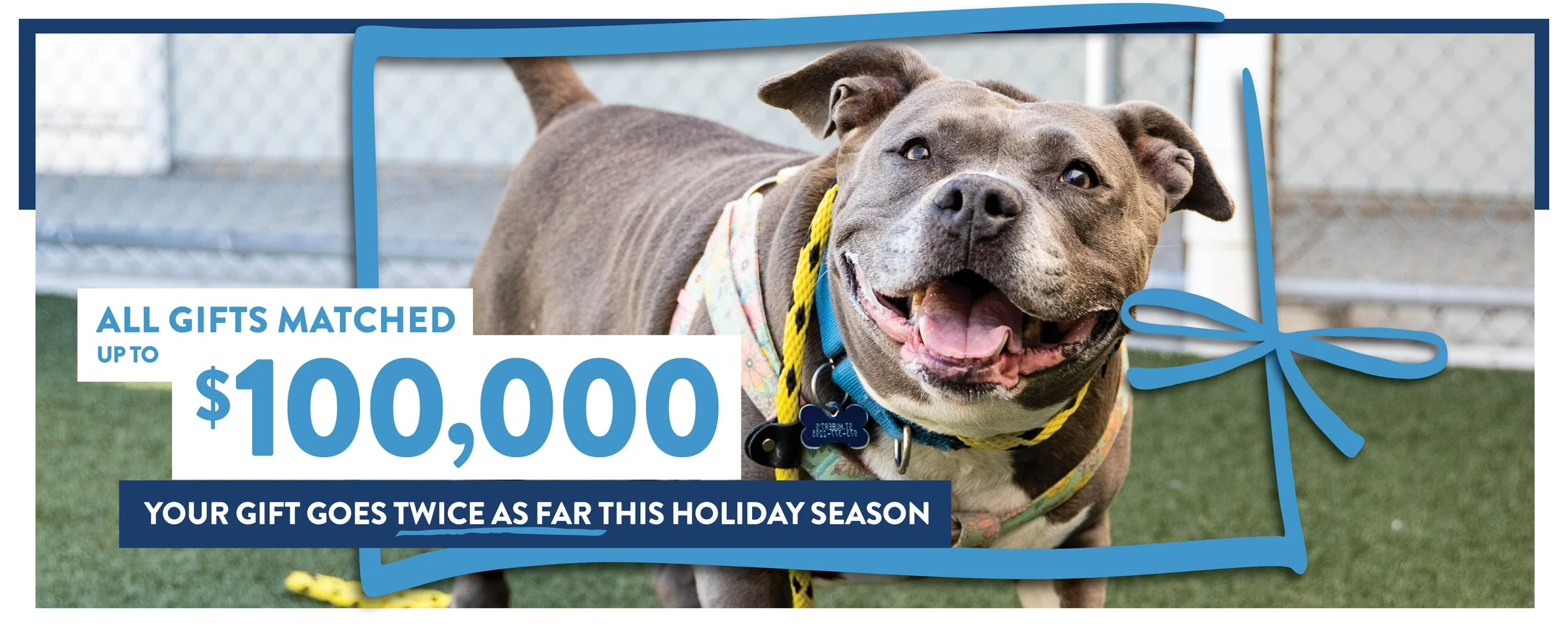 Support Us | St. Hubert's Animal Welfare Center