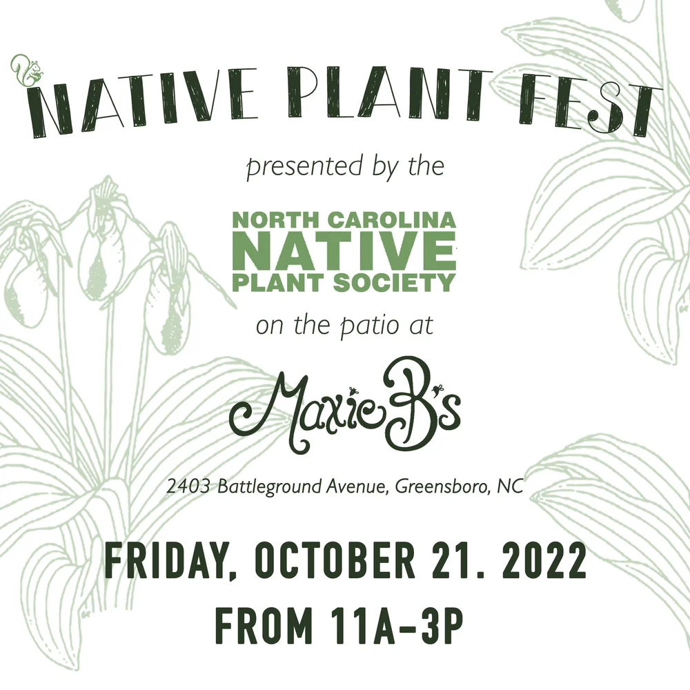 Maxie B's-Maxie B's Events