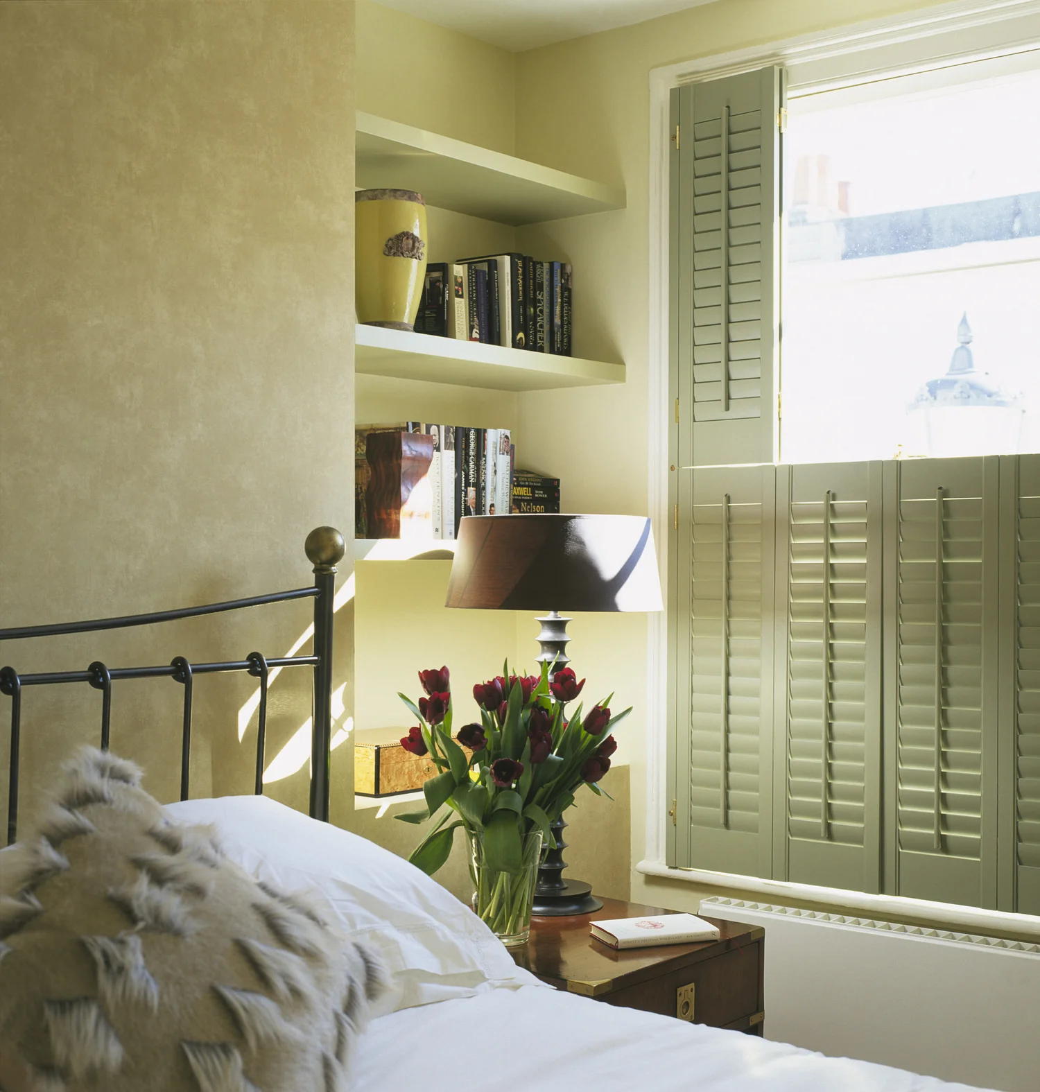 Design — ShutterCo - Plantation Style Window Shutters