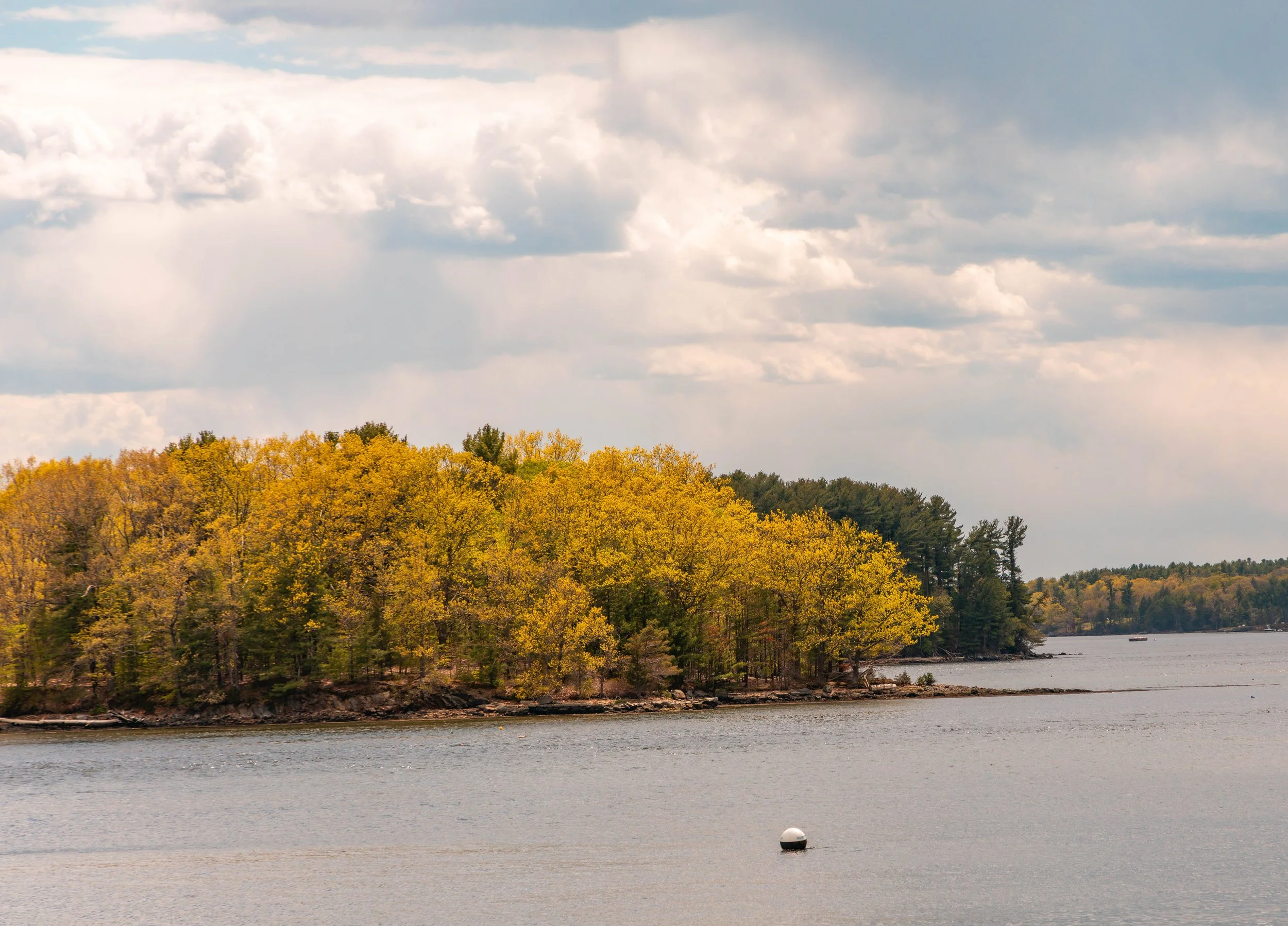 Thomas Williamson Photography