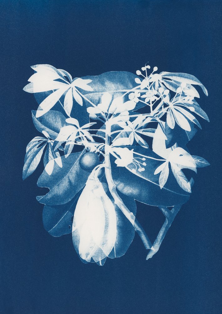 Facing Photographs — Exposure