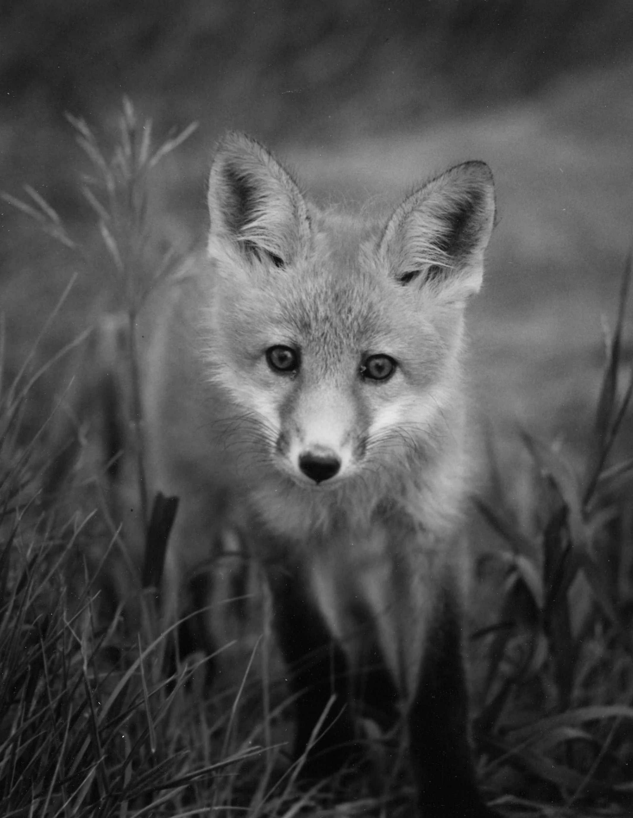 Legacy by Tom Willock — Exposure