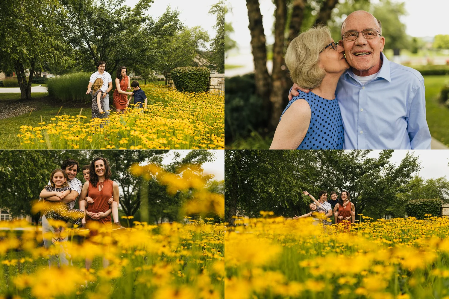 A 50th Wedding Anniversary && Extended Family Portrait Session in ...