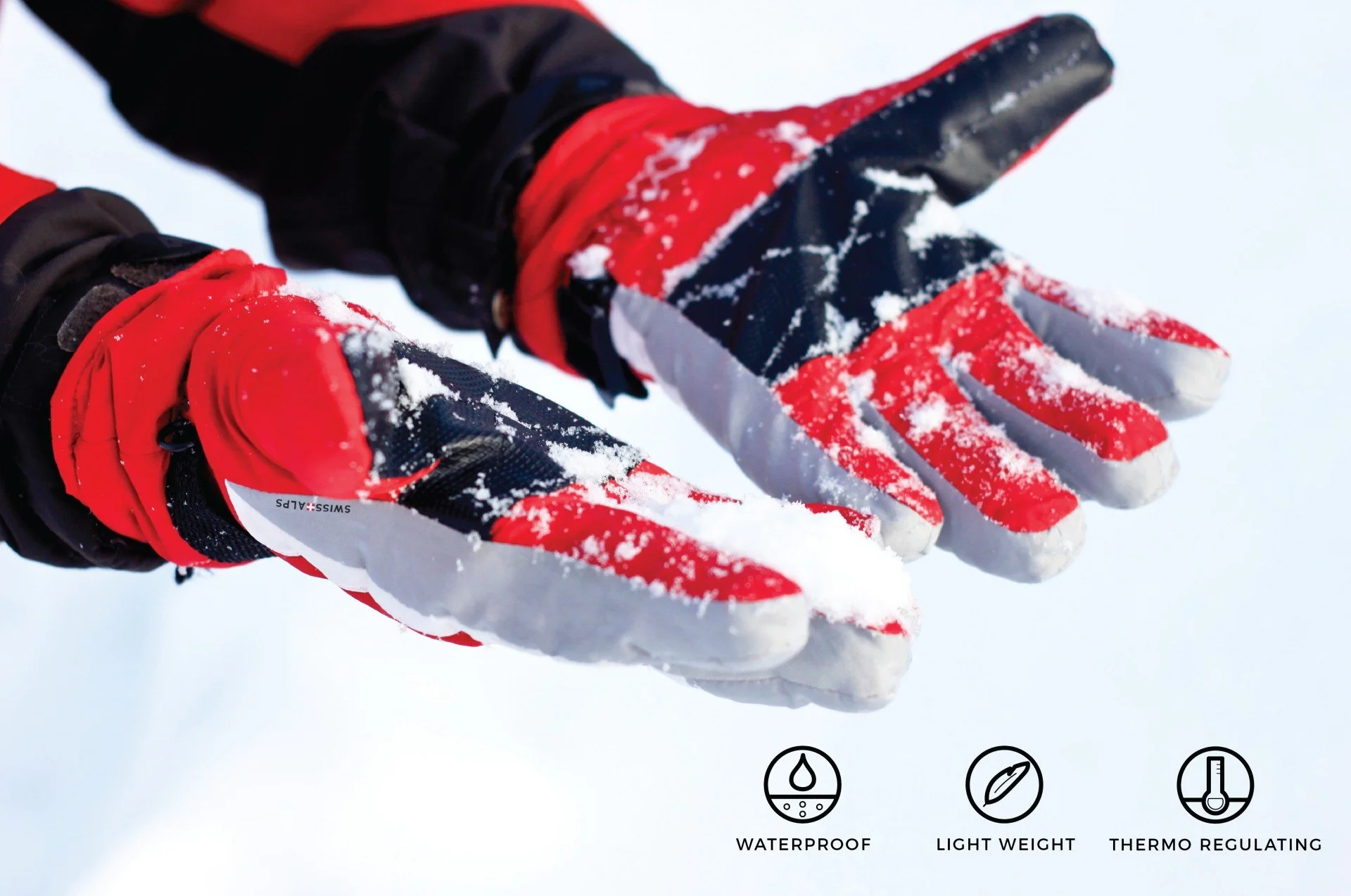 Swiss Alps — M. Hidary & Company Inc.