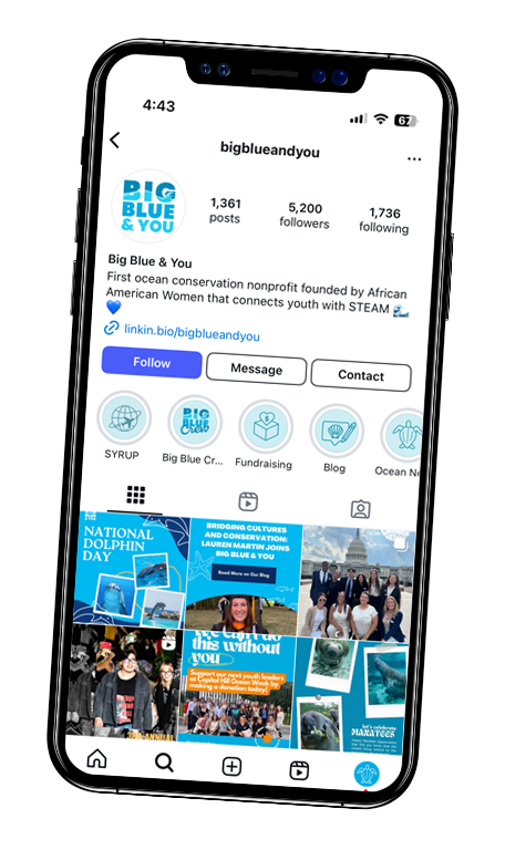 The Big Blue & You