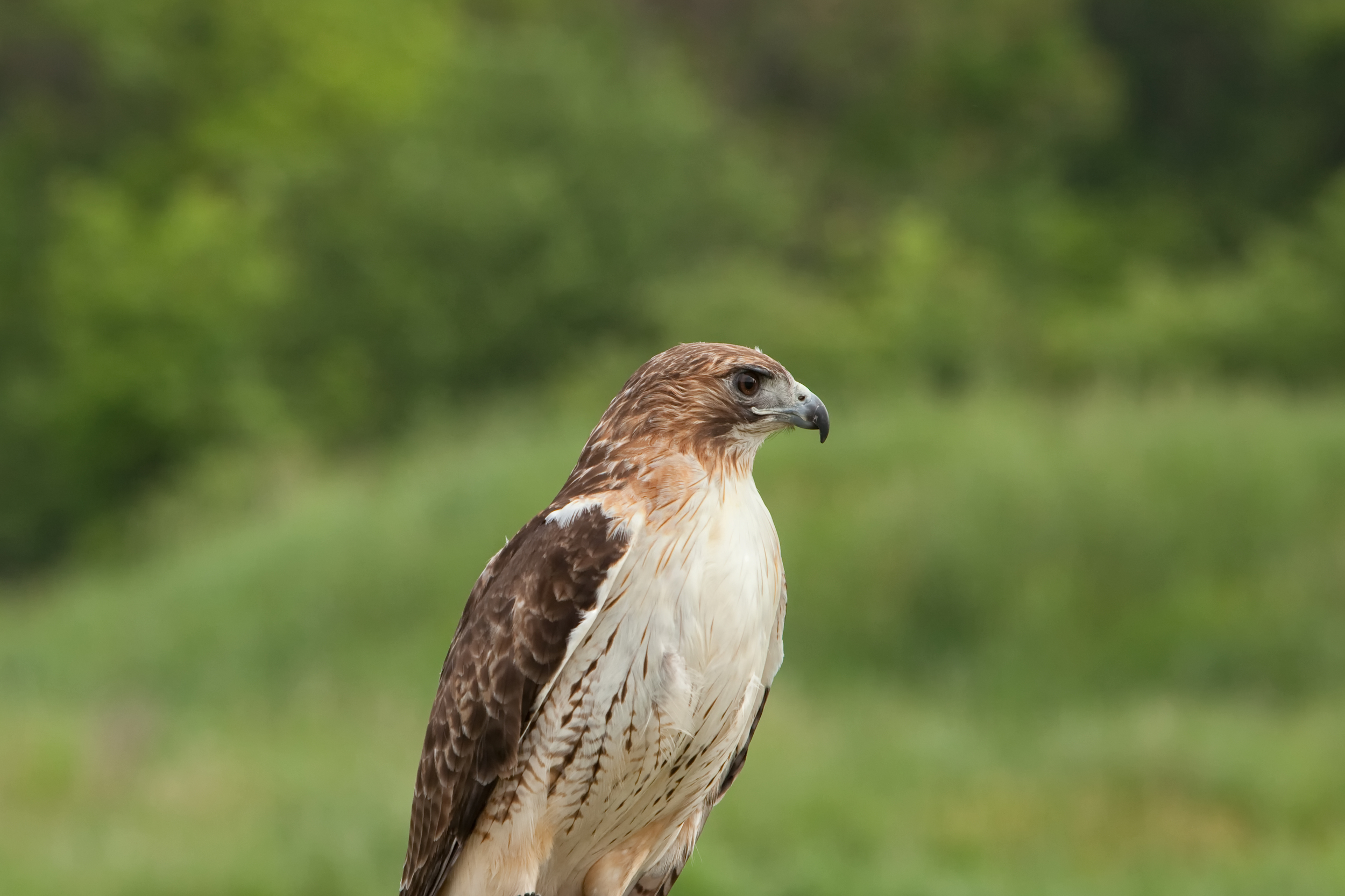 Ohio Nature Education