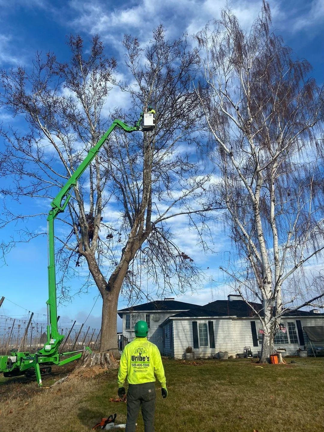 Uribes Tree Service LLC- Tree Service Yakima-Yakima Tree Service-Tree ...