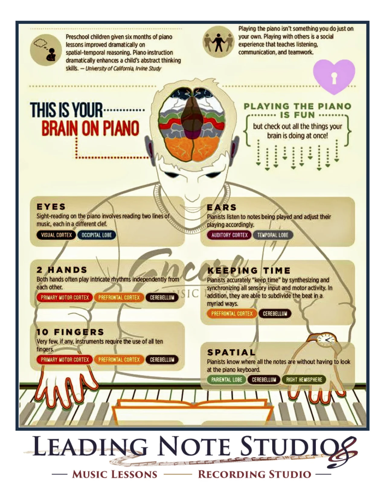 Your Brain on Piano | Leading Note Studios — Leading Note Studios