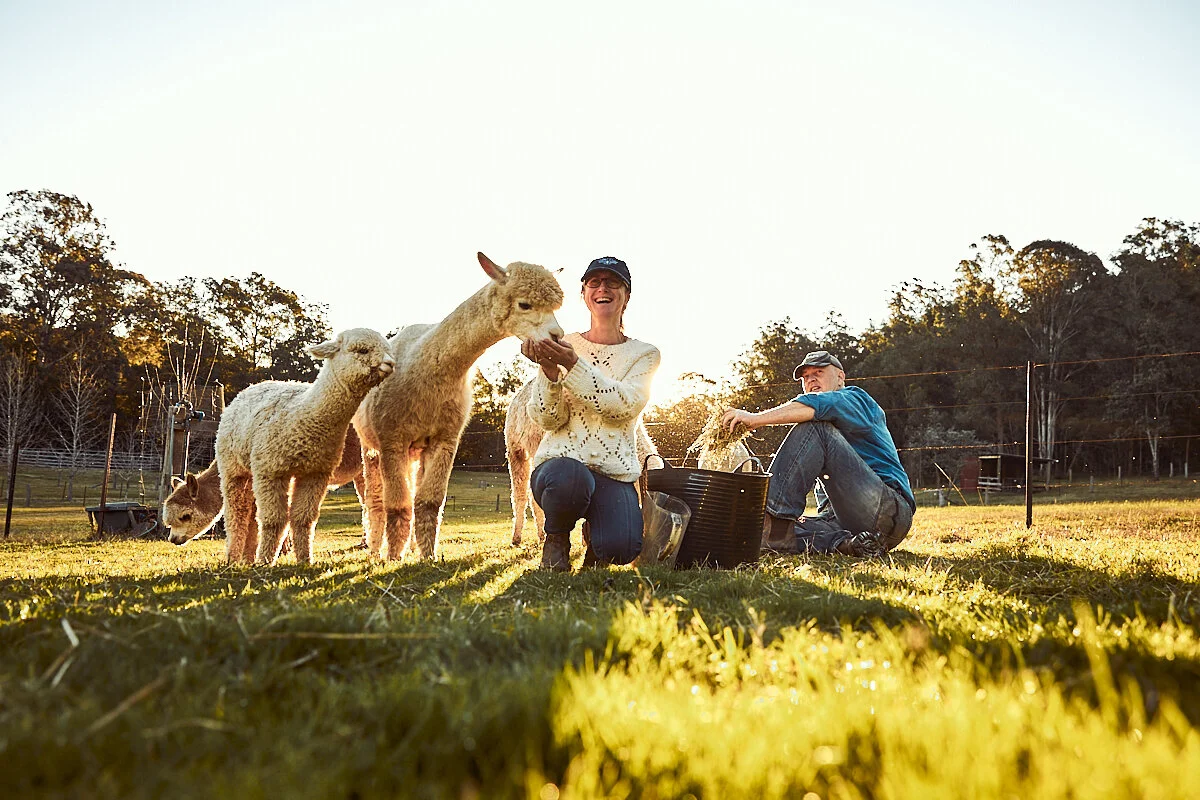 For those seeking a nature-based retreat, Little Valley Farm offers an ...