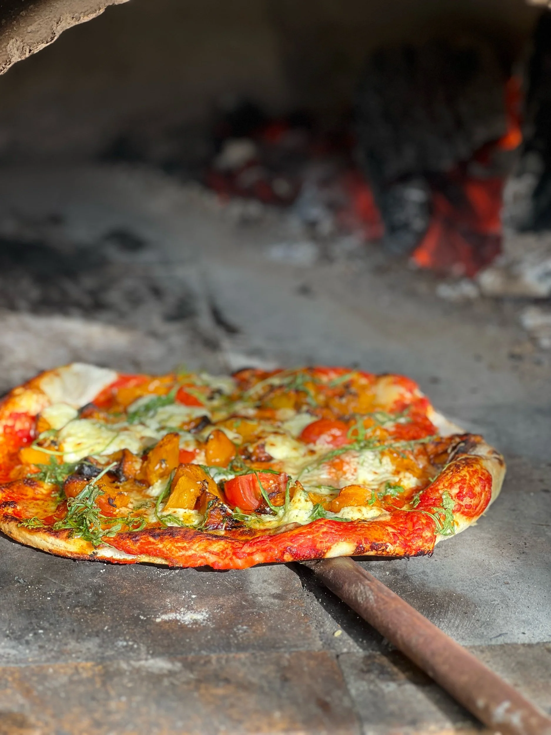 Experience a serene and unique adult-only getaway at our Alpaca ...