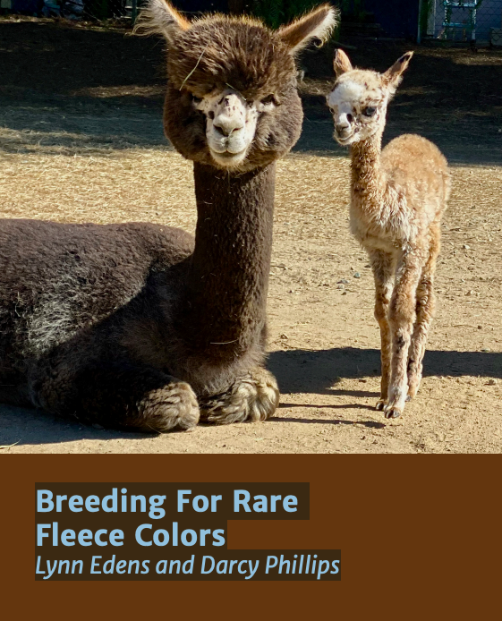 alpaca fleece and breeding colours — Little Valley Farm