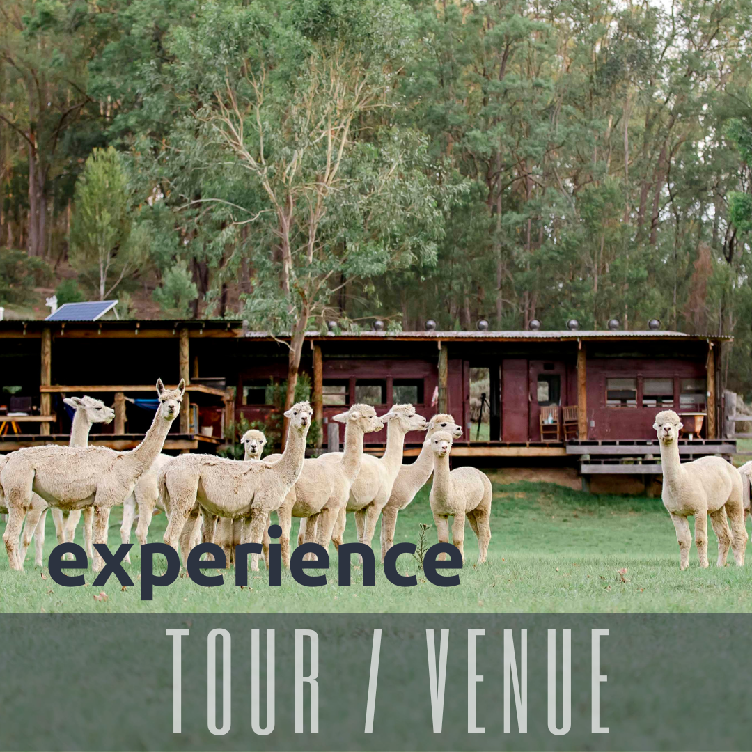 Join us for an exciting weekend workshop in the Hunter Valley, where ...