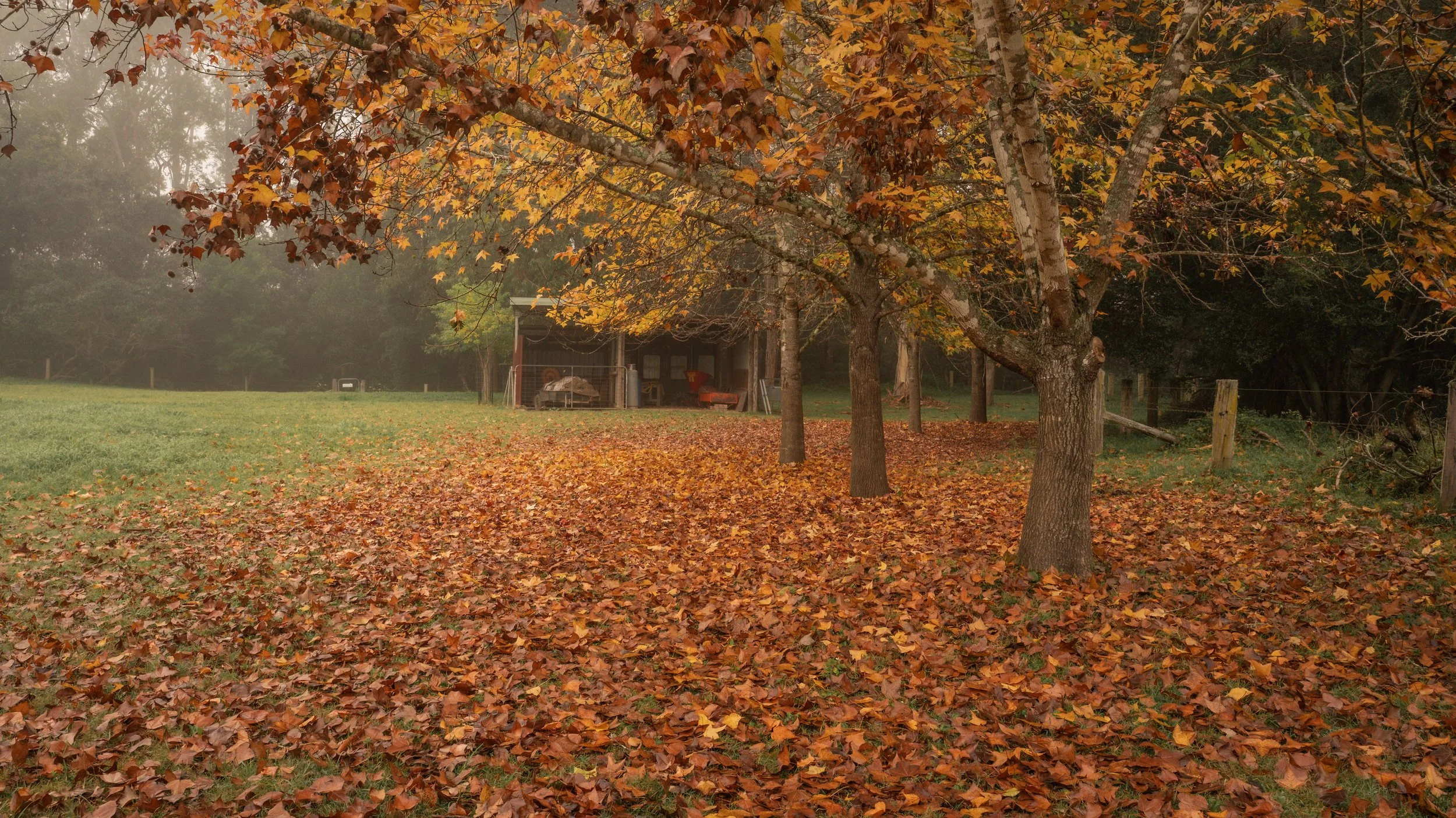 Maximise Your 2026 Public Holidays with a Farmstay at the Little Valley ...