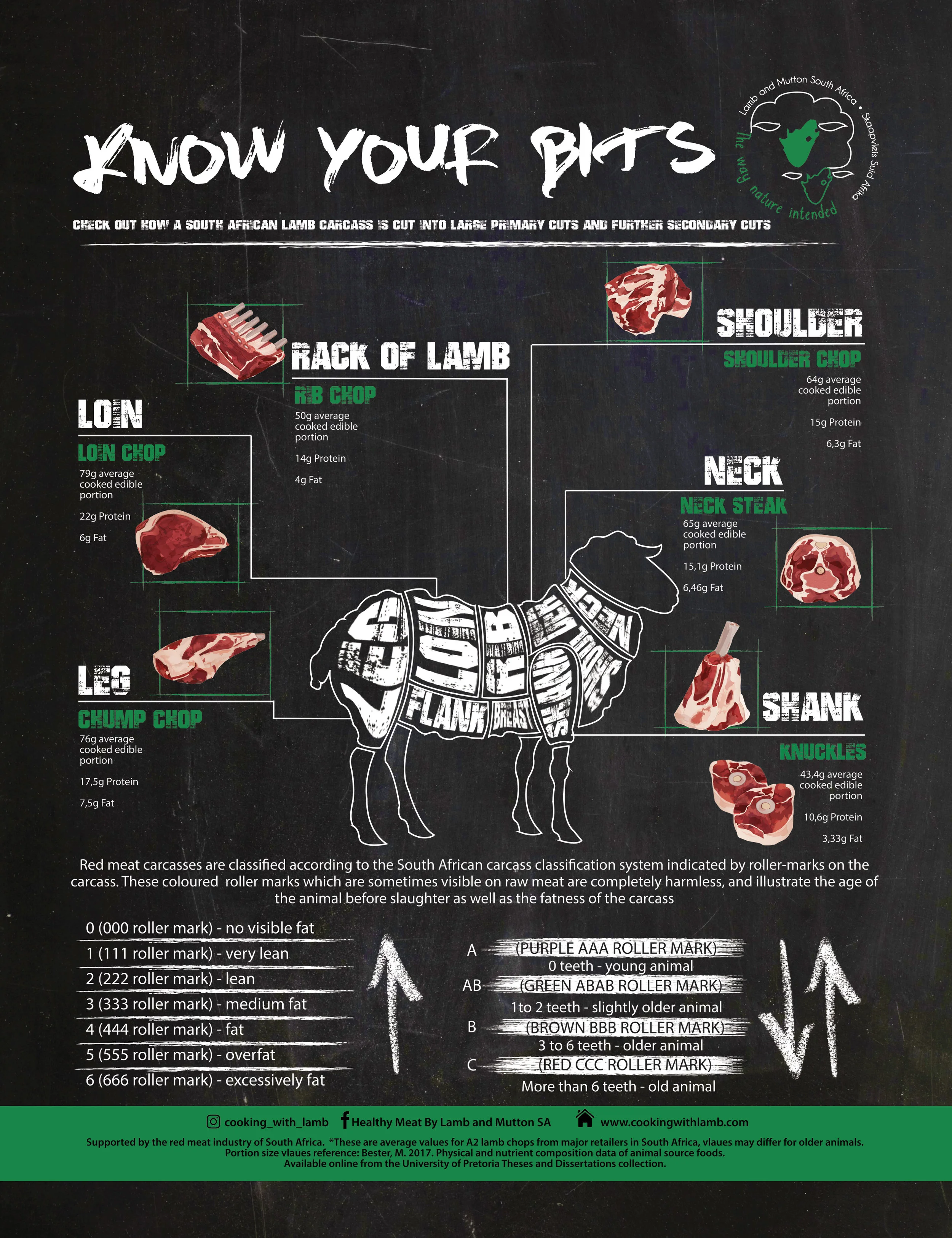 BEEF & LAMB SA