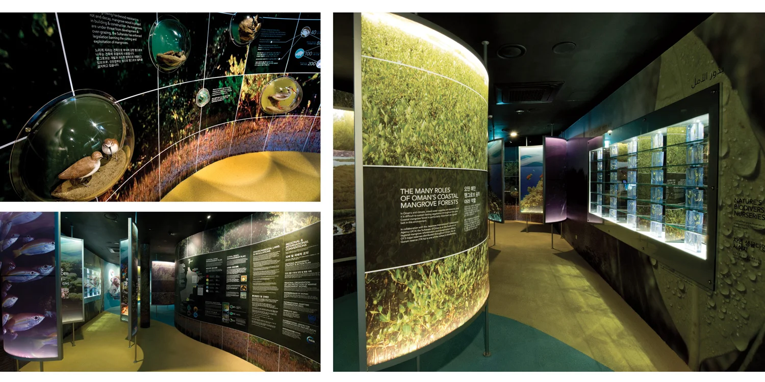 Experiential Graphics — Paradigm & Partners