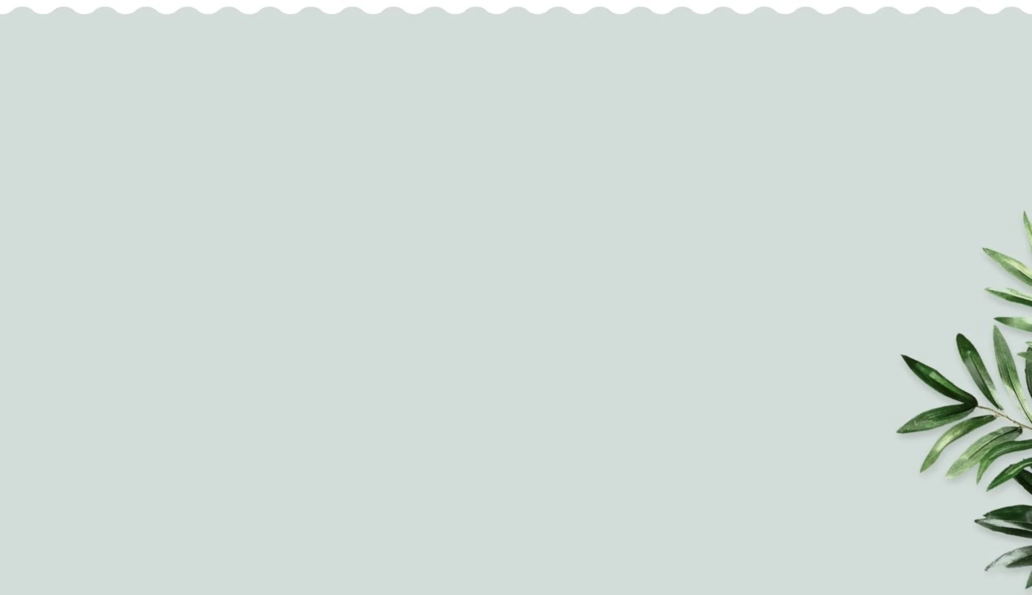 June Mango® Design | Go Live in 5® Web Design - A branding studio for ...