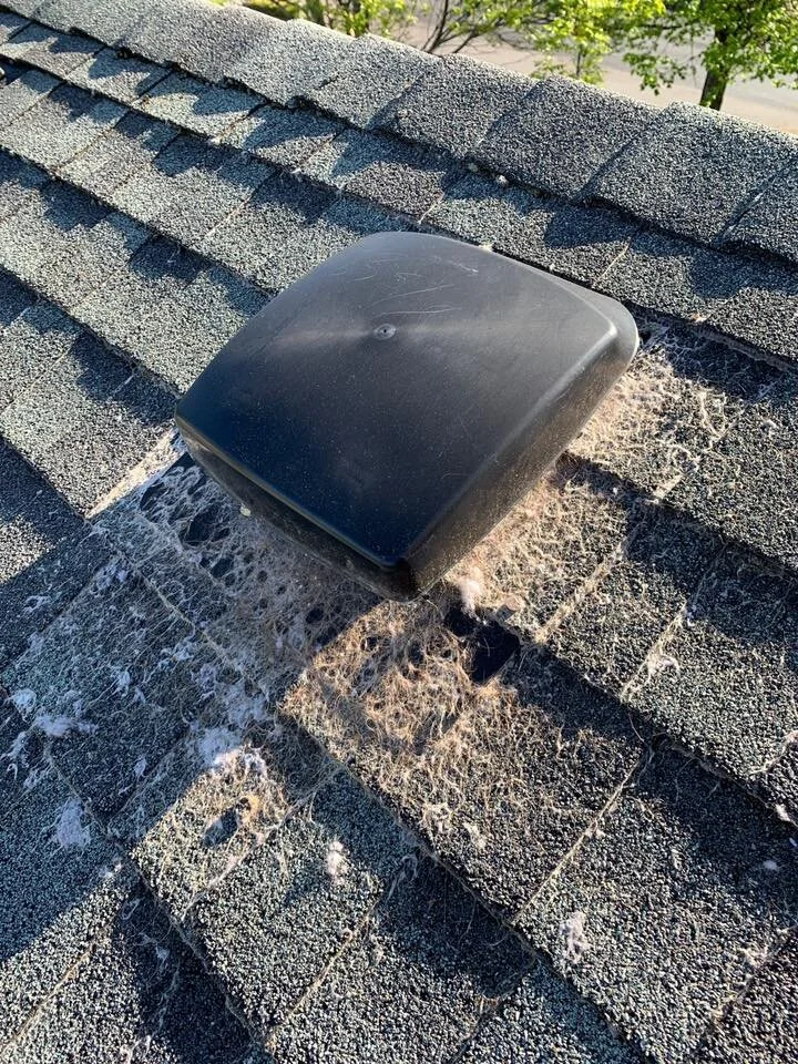 Common Roof Defects — Details Home Inspections, LLC.
