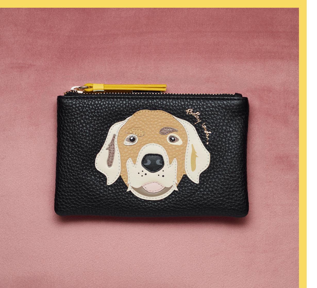 Radley x Dogs Trust collaboration... — Lifestyle Tails