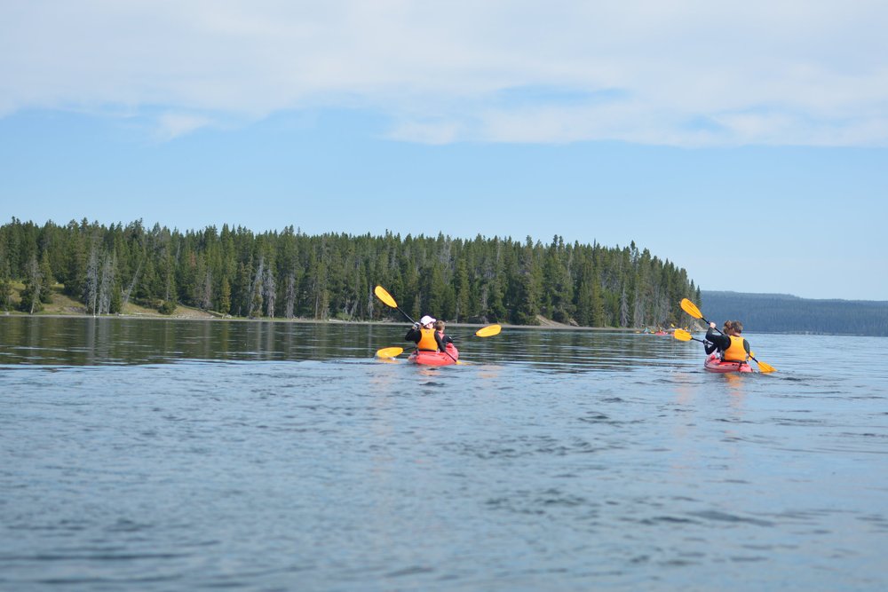 Kayaking Yellowstone National