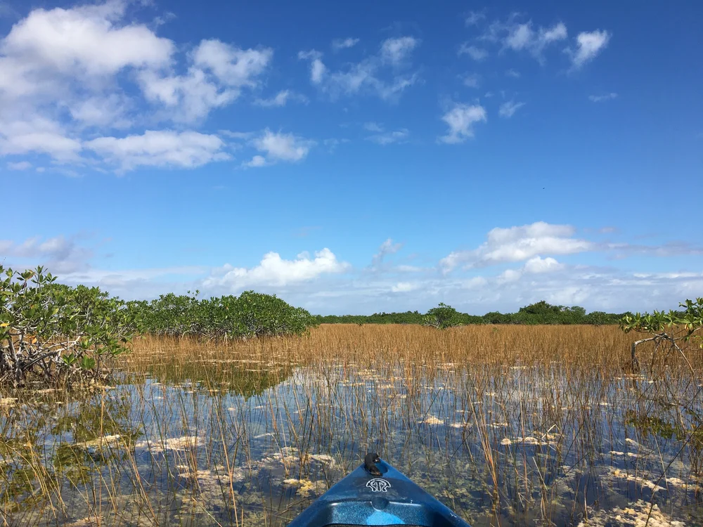 Everglades Kayak Trips