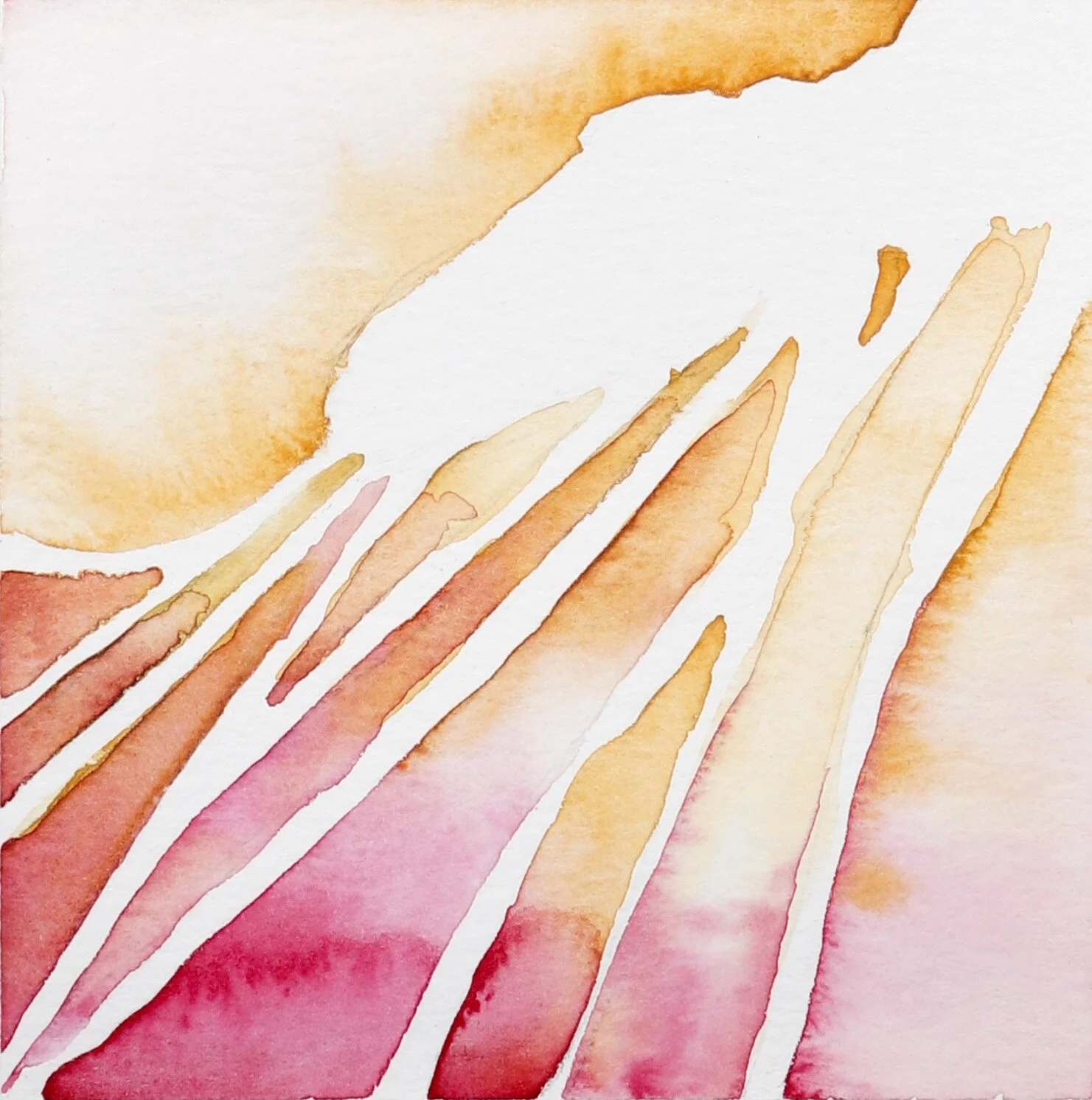 100 Paintings of Plankton — Liz Ewings