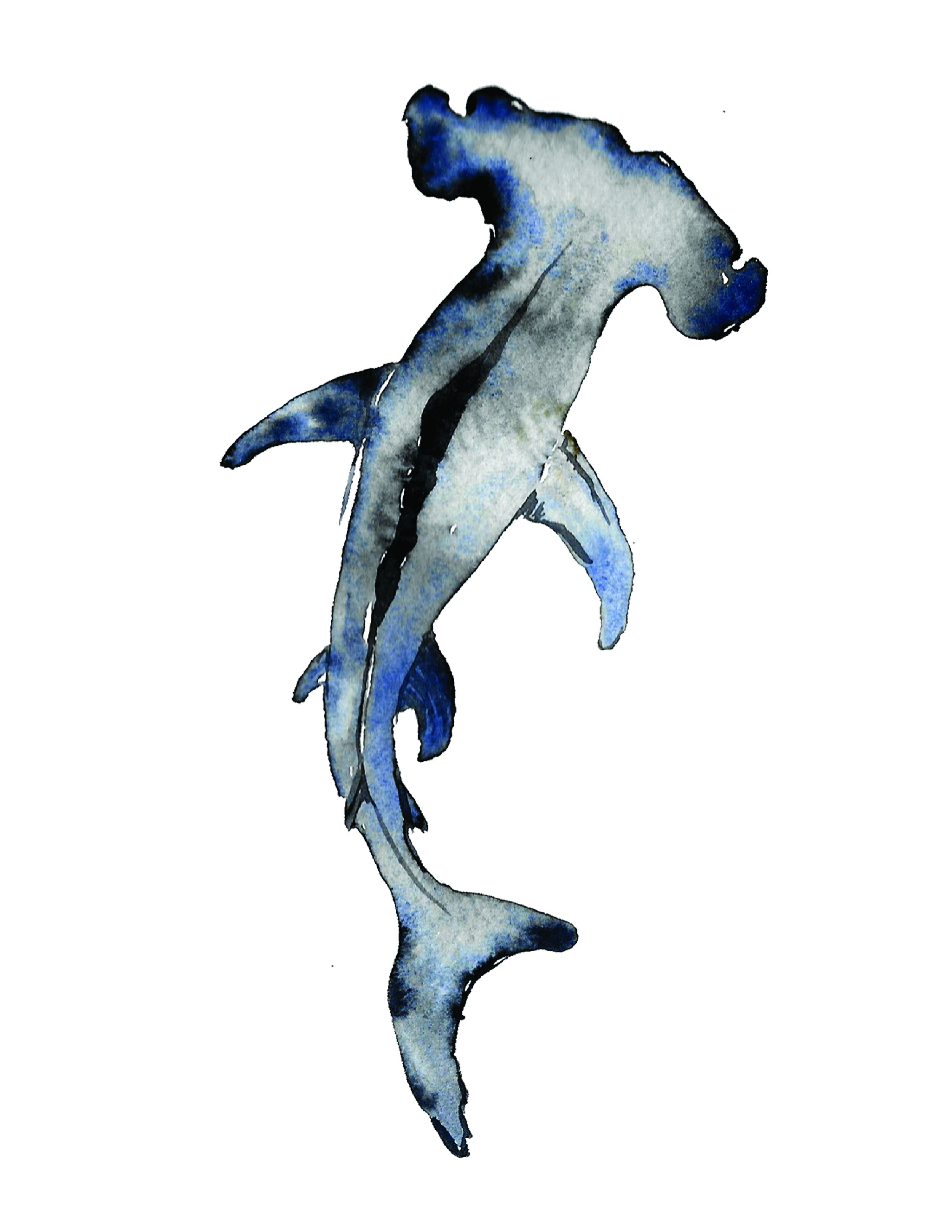 Hammerhead Art